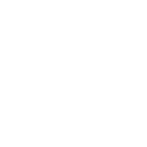 Spriggins Othropaedics - Hip and Knee joint surgeon