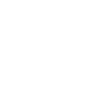 Spriggins Othropaedics - Hip and Knee joint surgeon